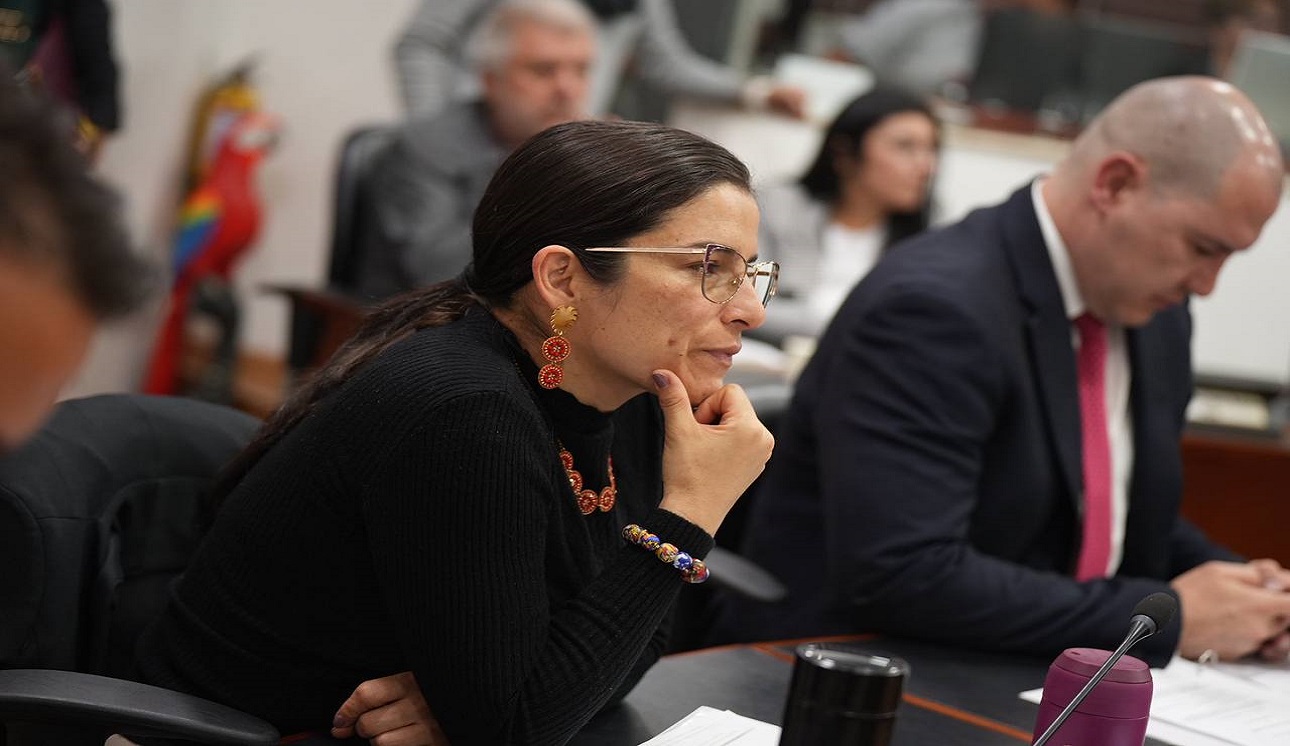 Martha Alfonso, designada coordinadora ponente de la reforma pensional