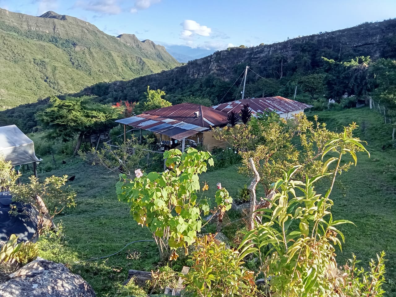 Corte Constitucional estudia falta de energía eléctrica en vereda de Dolores, Tolima