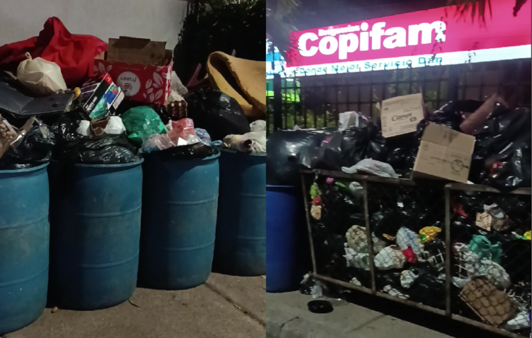 Vecinos de Arboleda Campestre denuncian acumulación de basuras sin recoger