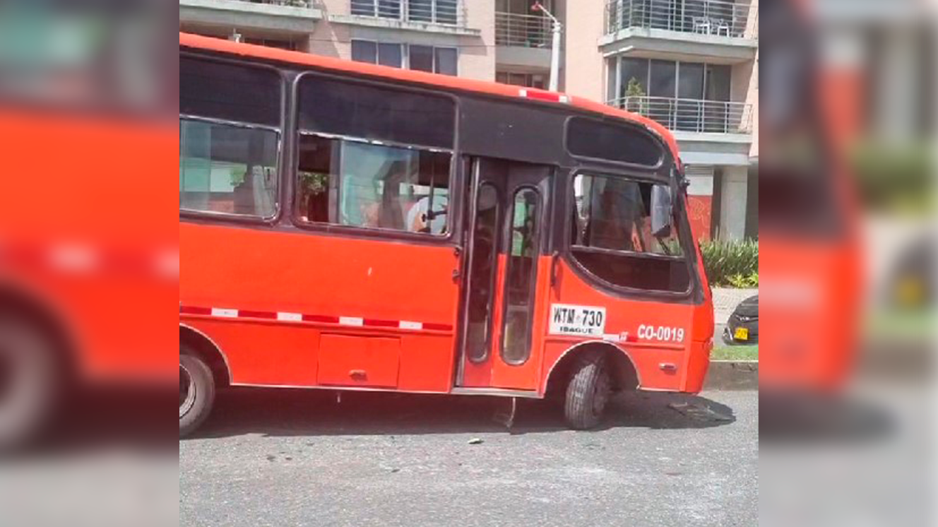 Video: esta fue la mascota que fue arrollada por una buseta en Ibagué