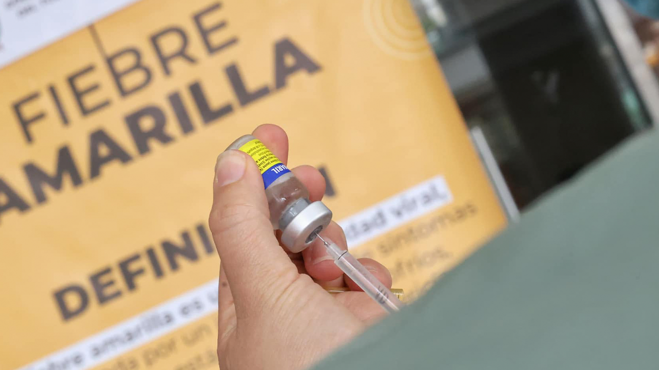 Esto es lo que debe saber de la Fiebre Amarilla