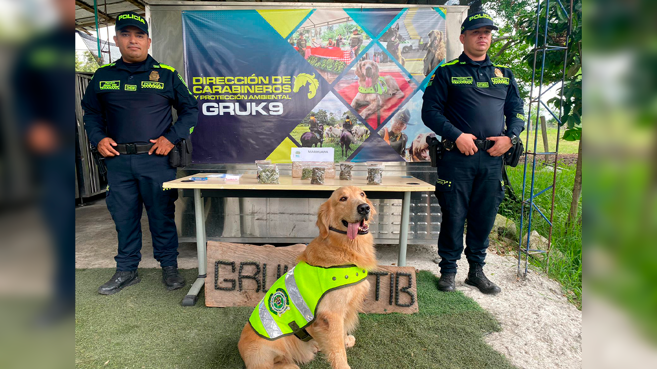 Otra encomienda con marihuana que se cae en Ibagué