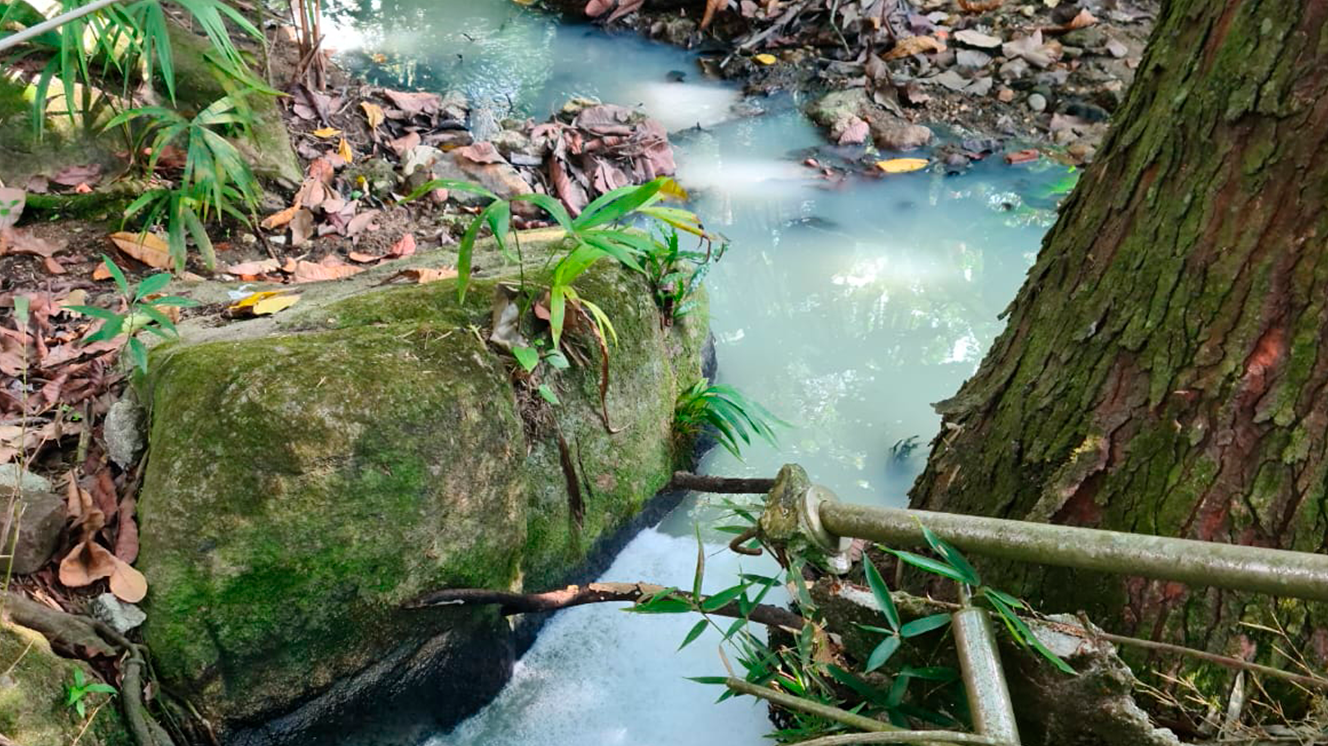 Cortolima señala al IBAL de posible contaminación en la quebrada La ...