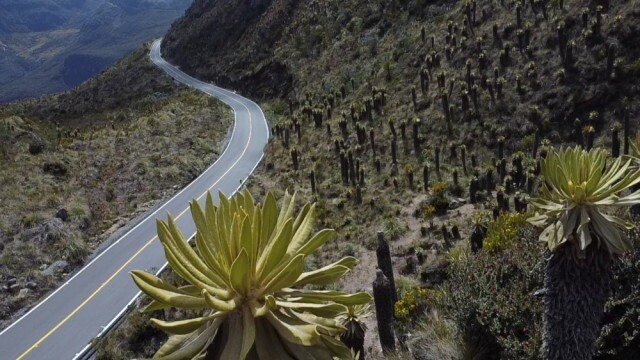 La contundente respuesta de Magistrado ante modificación de pico y ...