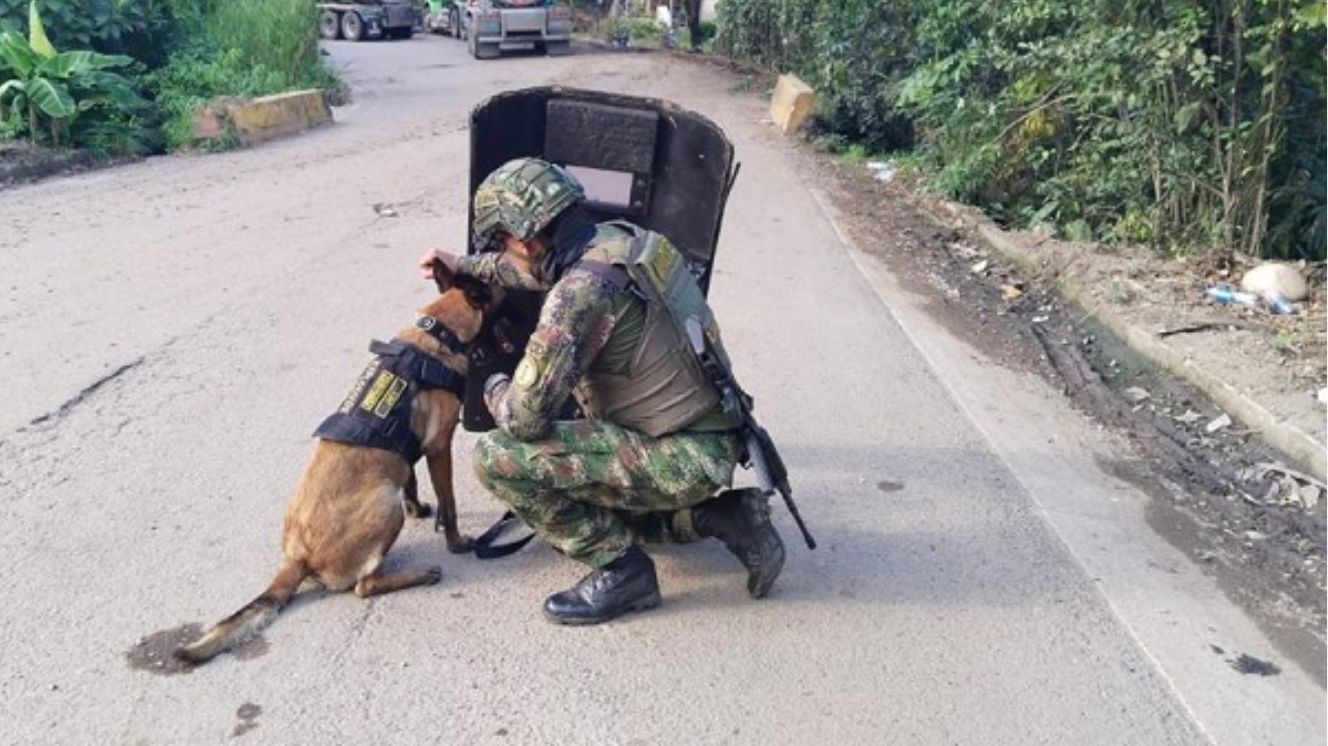 ¡Exclusivo! Canino antiexplosivos mostró señales de alerta cerca a ...