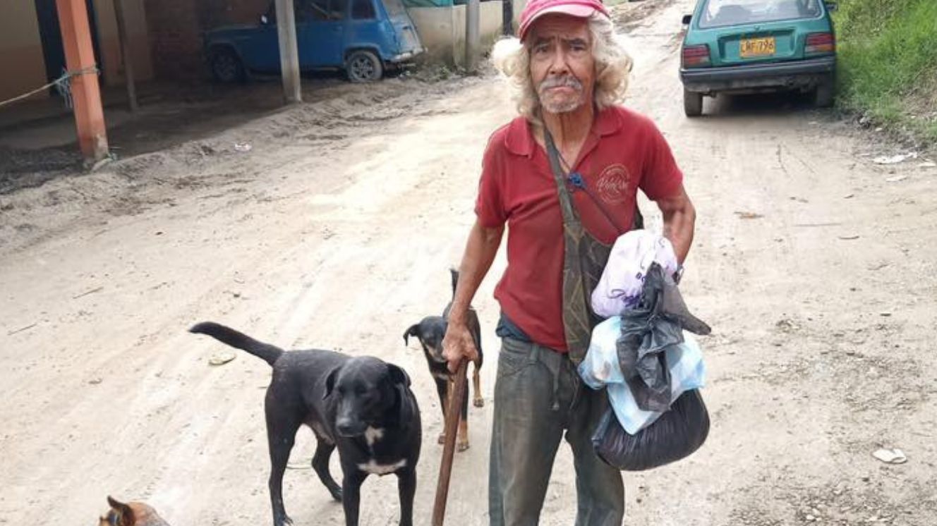 Buscan persona de buen corazón para ayudar a don Alí y sus 23 perritos ...