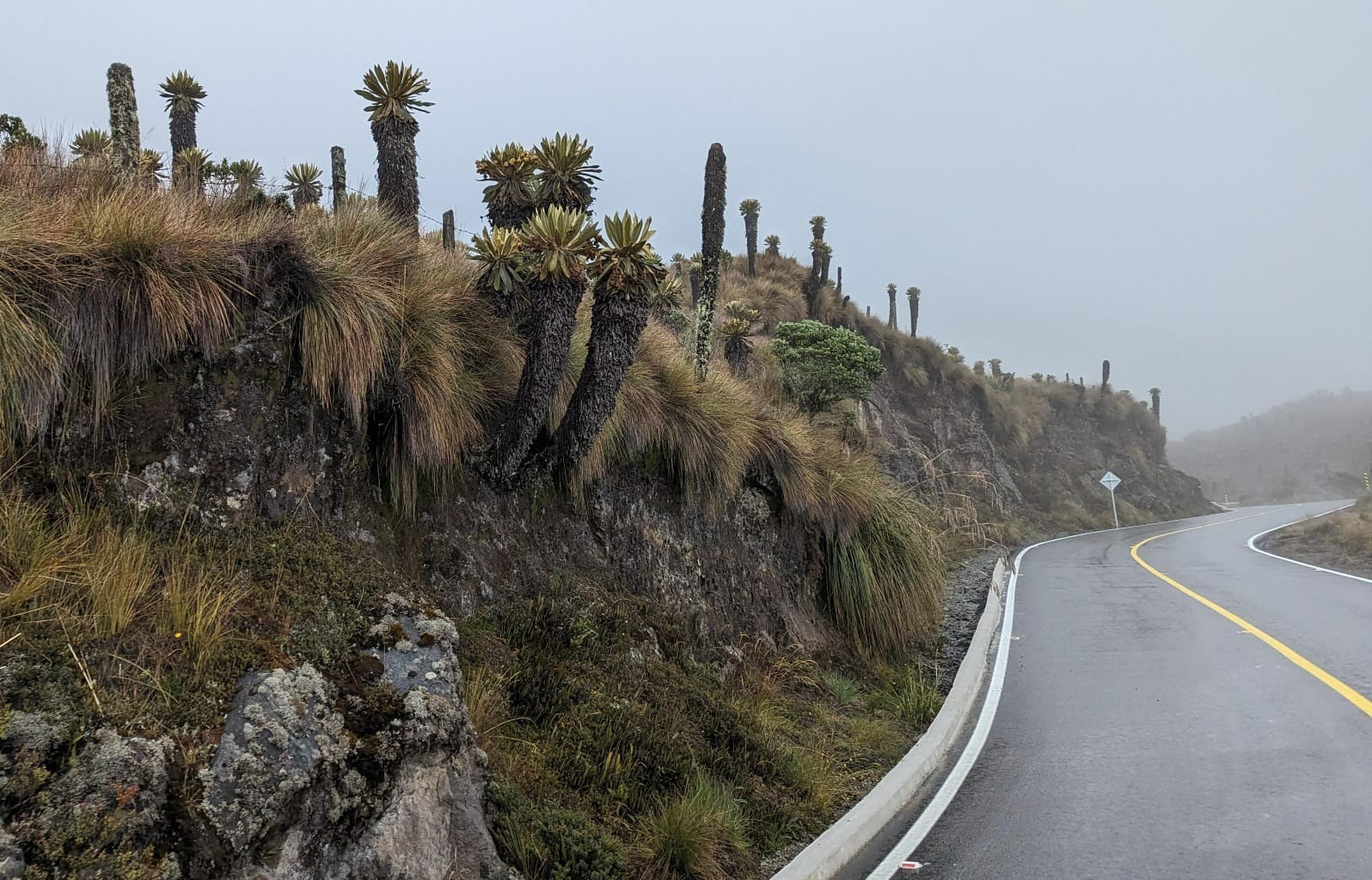 Recolectan firmas ante afectación comercial del pico y placa ambiental ...