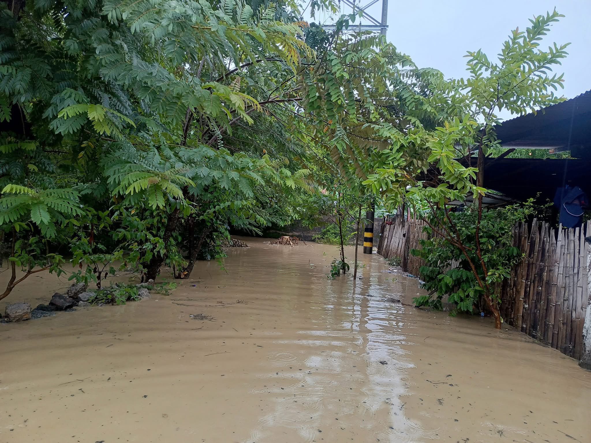 Desbordamiento del río Loany causa estragos e inundaciones en Ortega