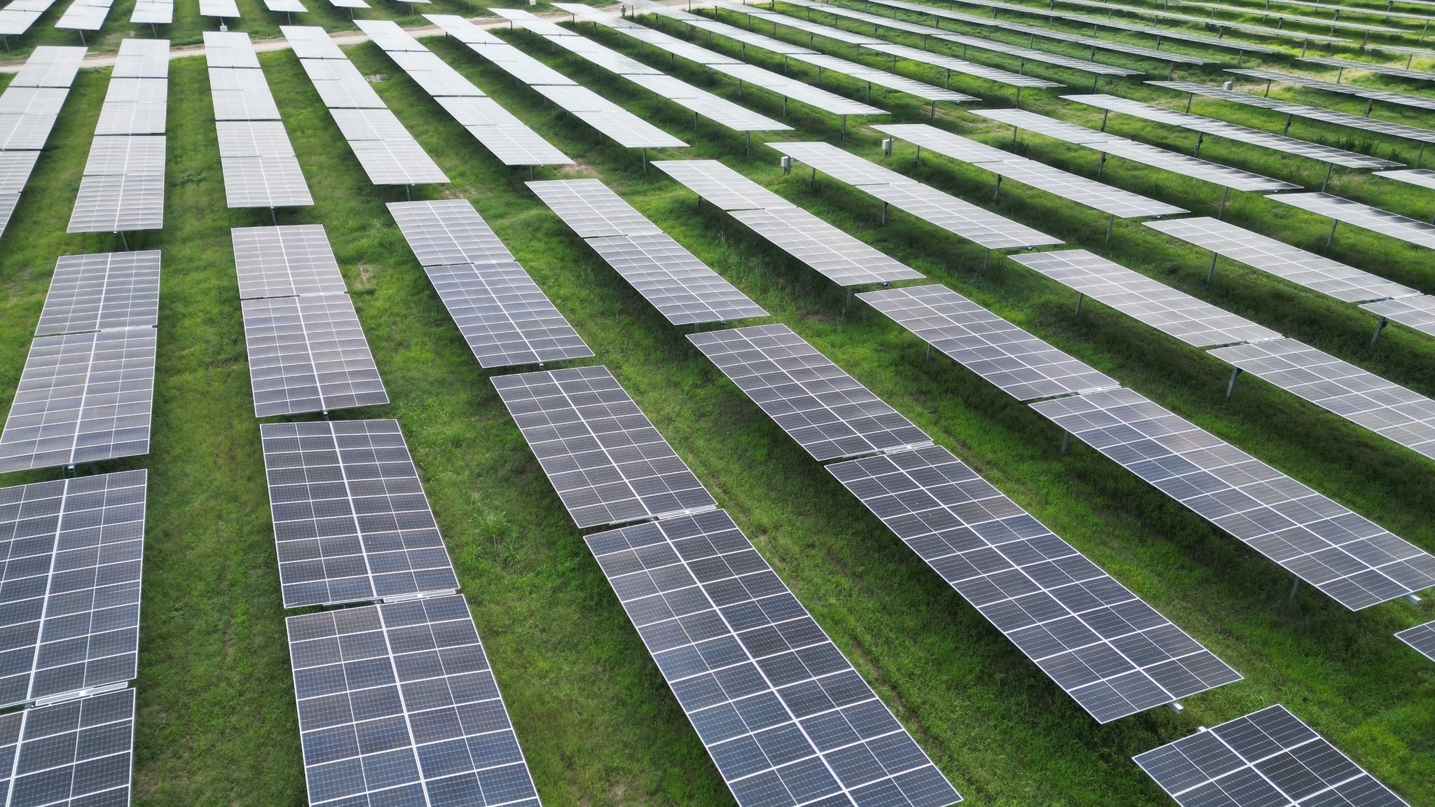 Shangri-La: el nuevo gigante solar que ilumina el Tolima y busca ...