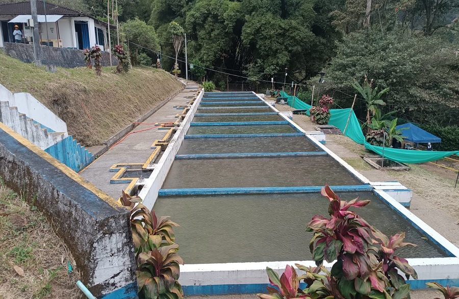 Por alta turbiedad en la quebrada Chembe fue cerrada la captación en la ...