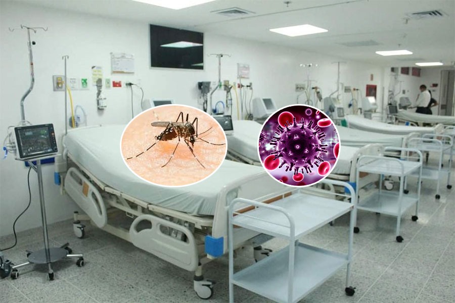 Dengue y VIH, las enfermedades más preocupantes en Ibagué